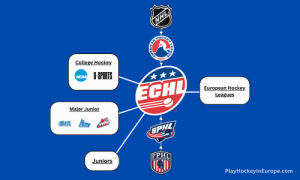The ECHL Affiliations For The 2024-25 Season: A Quick Guide – Zac ...